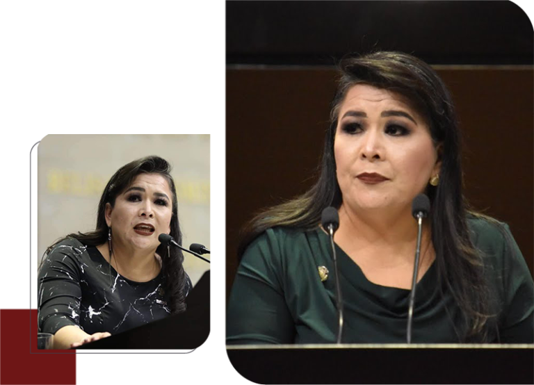 Dip. Ana Elizabeth Ayala Leyva – LXV LEGISLATURA