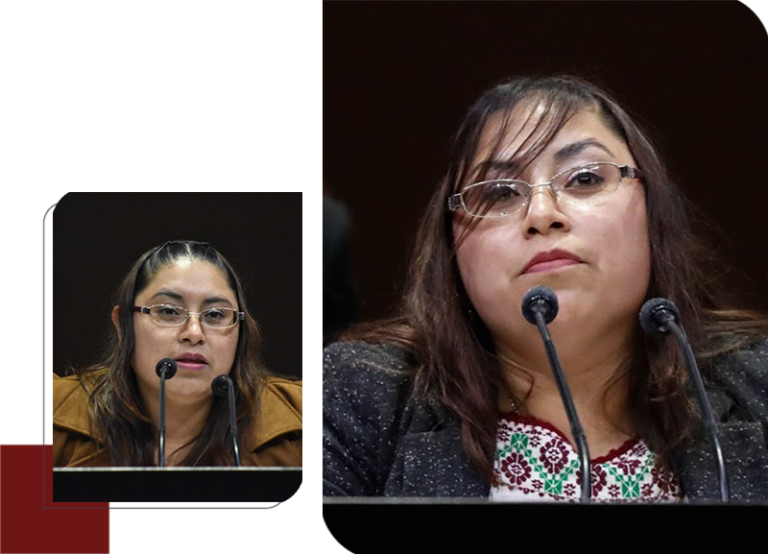 Dip. Brenda Ramiro Alejo – LXV LEGISLATURA