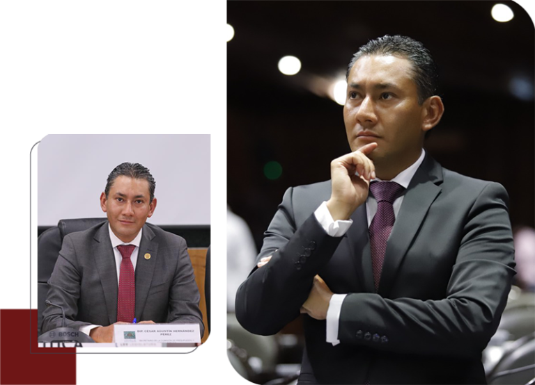 Dip. César Agustín Hernández Pérez – LXV LEGISLATURA