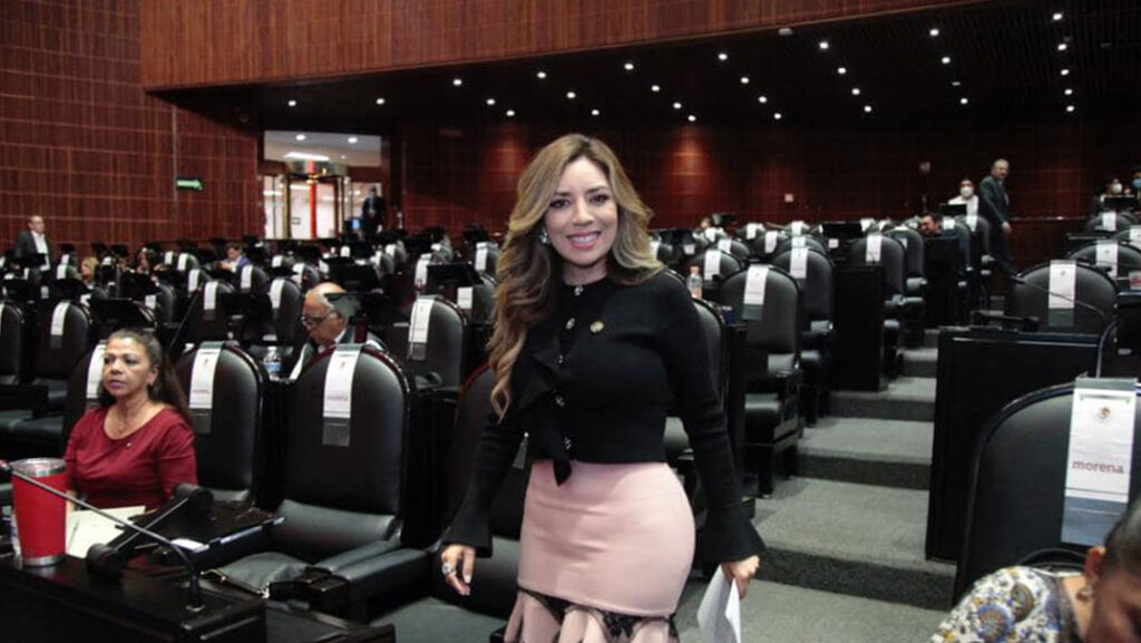Dip. Dulce María Silva Hernández – LXV LEGISLATURA