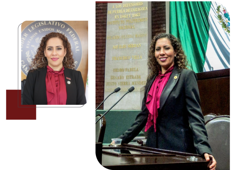 Dip. Flora Tania Cruz Santos – LXV LEGISLATURA