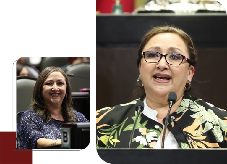 Dip. María Isabel Alfaro Morales – LXV LEGISLATURA