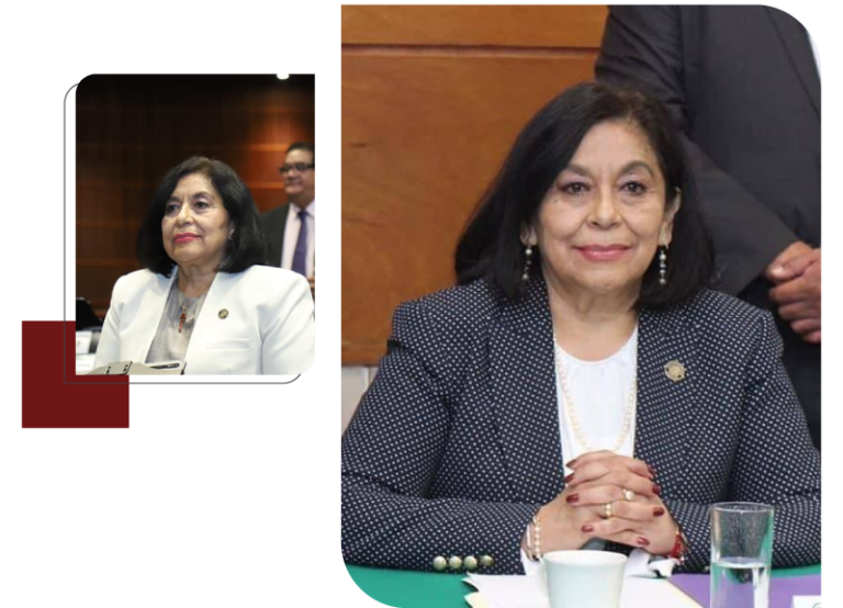 Dip. María Magdalena Olivia Esquivel Nava – LXV LEGISLATURA