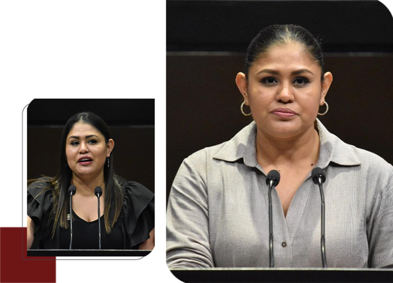 Dip. Raquel Bonilla Herrera – LXV LEGISLATURA