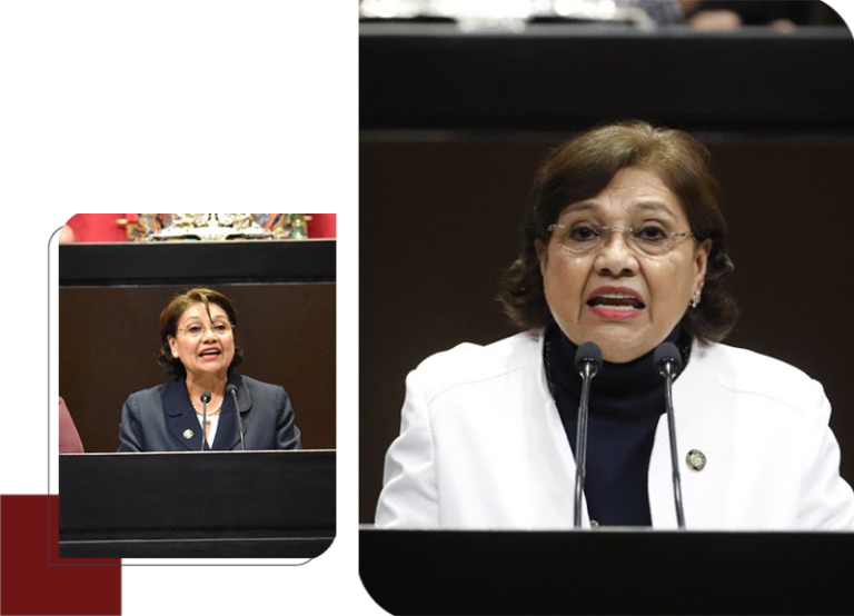 Dip. Sonia Rincón Chanona – LXV LEGISLATURA