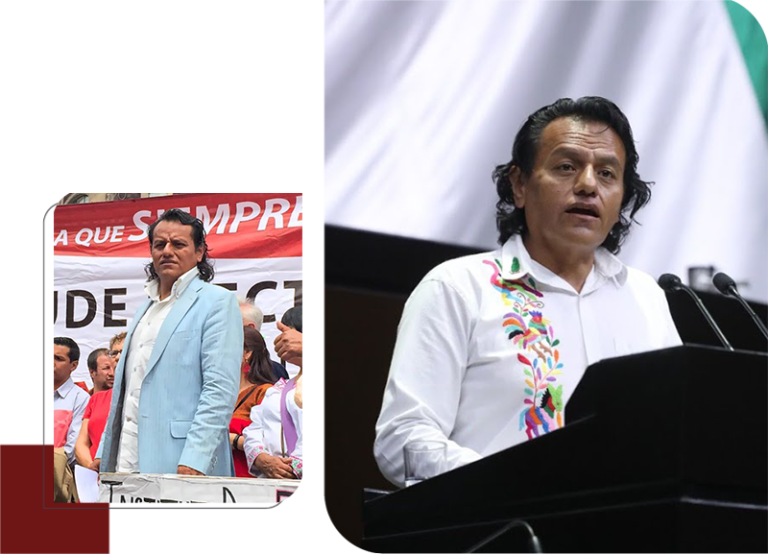 Dip. Víctor Gabriel Varela López – LXV LEGISLATURA